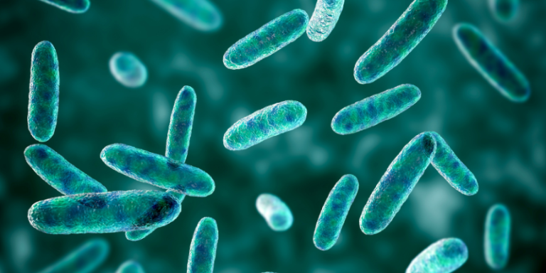 What Do Legionella Checks and Assessments Look Like - Covac